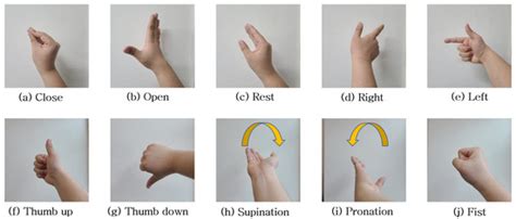 Emg Based Dynamic Hand Gesture Recognition Using Edge Ai For Human