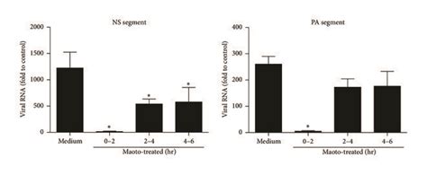 The Effect Of Maoto Was Observed In The Very Early Phase Of Influenza
