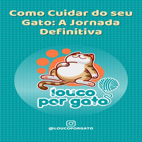 Como Cuidar Do Seu Gato A Jornada Perfeita LGSB Empreendimentos