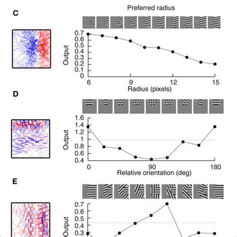 Connection Weights From The Input Neurons To 100 Output Neurons In Model 2 Download