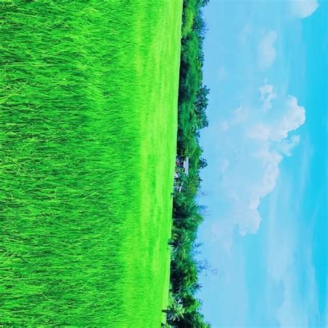 Itsasminasheikh Itsasmina26 On Threads