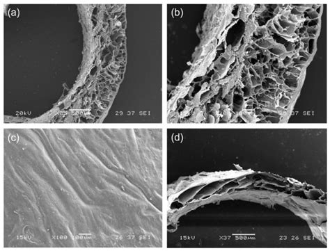 Biomimetics Free Full Text Biomimetic And Bioactive Small Diameter Tubular Scaffolds For
