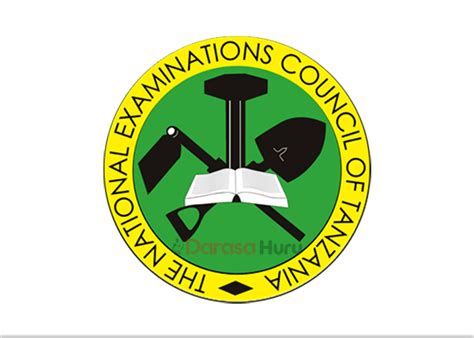 Necta Results Sfna 2024 Matokeo Ya Darasa La Nne 20242025