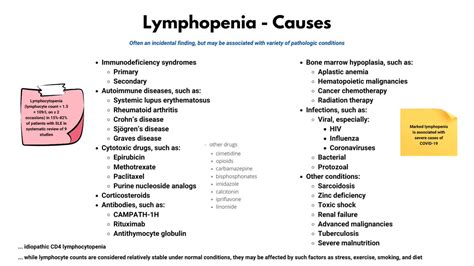 16 Lymphocytopenia Aka Lymphopenia A Definition Absolute L Count