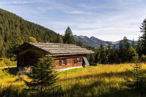 Cabin Nestled Among Tall Evergreen Trees And Vibrant Meadow Grass In Berge Pintauer Saalachtal
