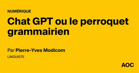 Chat Gpt Ou Le Perroquet Grammairien Aoc Media