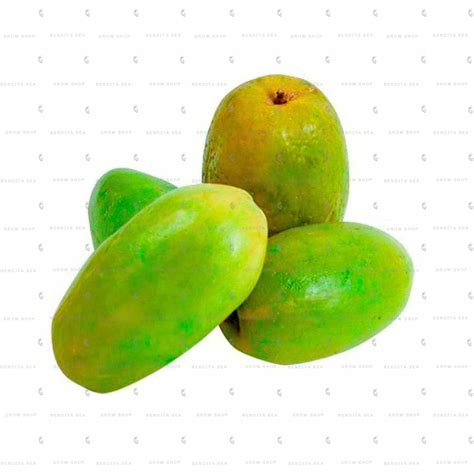 Semillas Frutales De Badea Fercon