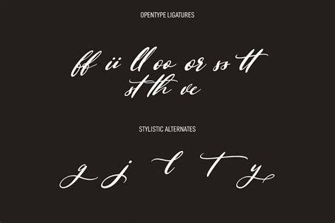 Asortings Signature Script Font On Behance