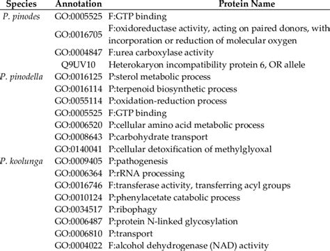 annotation for unique clusters download scientific diagram