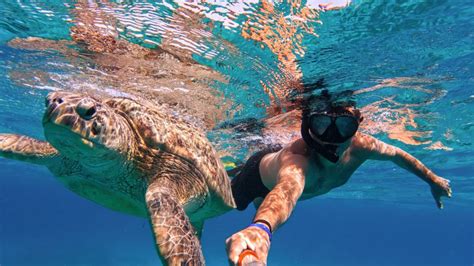 St Martin Catamaran Snorkel Cruise With Open Bar And Lunch GetYourGuide