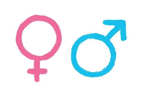 Gender And Sexuality Vector Art Icons And Graphics For Free Download