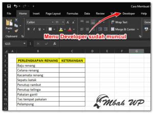 Cara Membuat CheckBox Di Excel