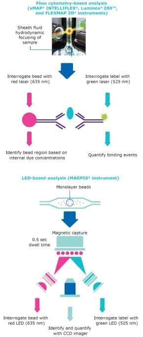 Luminex® Multiplexing Platforms Comparison