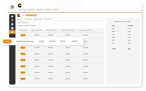 Time Entry Cloud Coach