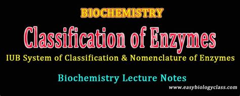 Classification Of Enzymes Lecture Notes Easybiologyclass