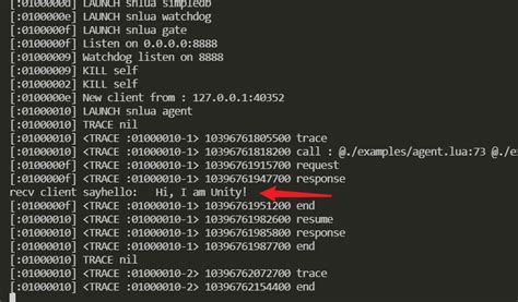 【游戏开发实战】教你unity通过sproto协议与skynet框架的服务端通信，附工程源码（unity Sproto 协议