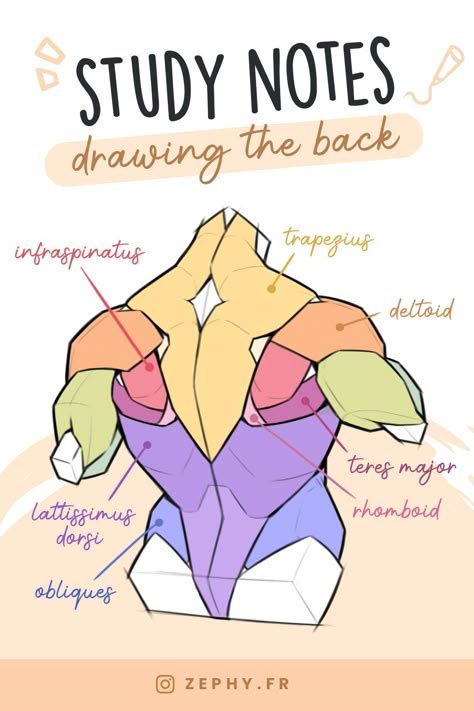 Pin Di Ayram Santiago Gomez Rodriguez Su Anatomia Humana Disegno Di