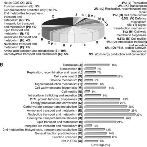 Categorization Of The Identified Proteins According To The Cog Download Scientific Diagram