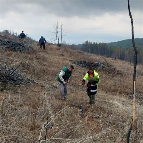 Национални Шуми Nacionalnisumi • Instagram Photos And Videos