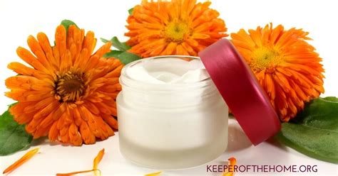 How To Make An Herbal Salve Recipes Diyfriday Keeper Of The Home