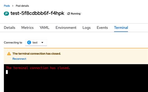 Opening Pod S Terminal Fails With The Terminal Connection Has Closed