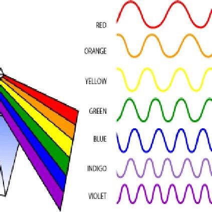 The Separate Wavelengths Of Visible Light Download Scientific Diagram