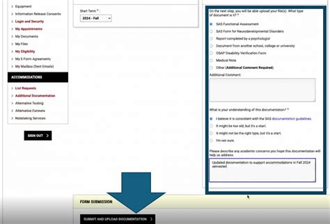 SAS Babe Portal Accessibility Services