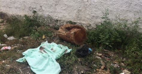 Chacina Deixa 5 Mortos Em Duque De Caxias Rj Paulista