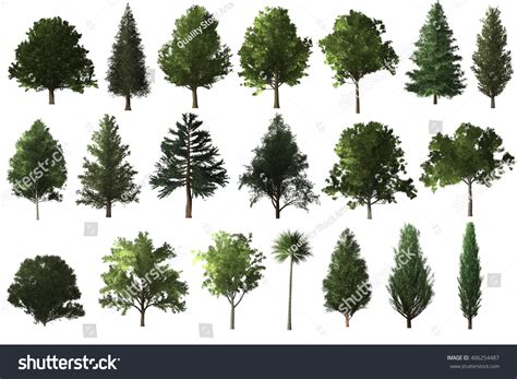 Tree Set Architecture Landscape Design Tree 스톡 일러스트 406254487
