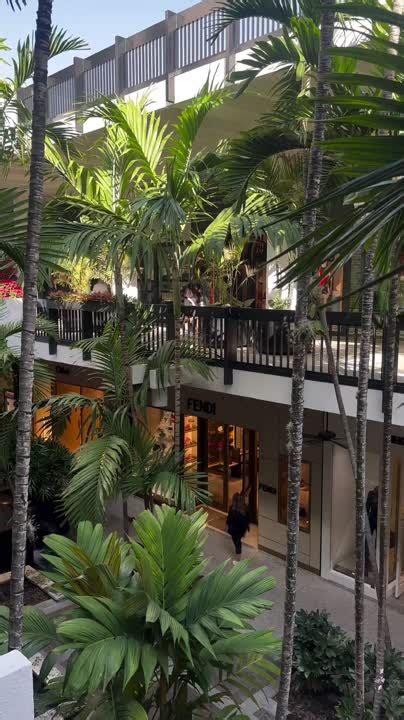 Tracy Galya On Linkedin Balharbourbliss Tracygalya