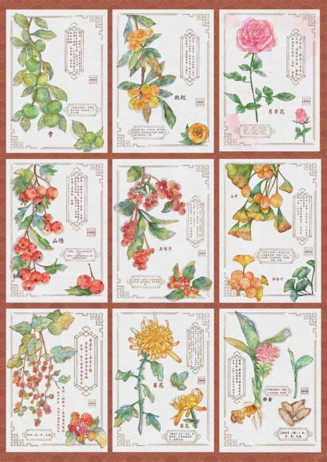 本草纲目水彩手绘图鉴九宫格成就达成