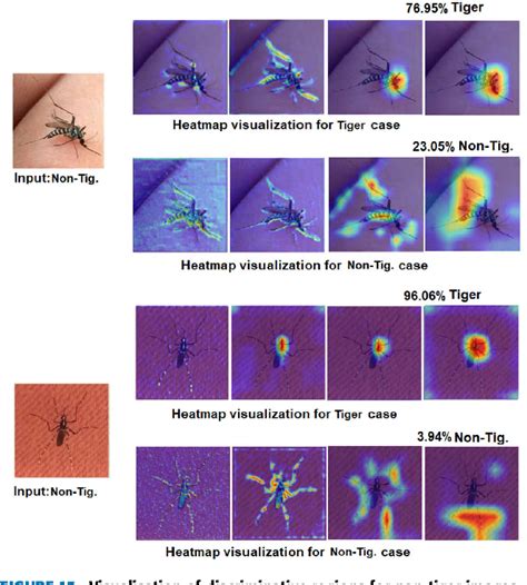 Figure 13 From A Deep Convolutional Neural Network For Classification Of Aedes Albopictus