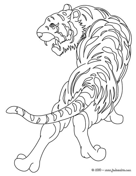 Coloriages tigre à colorier fr hellokids