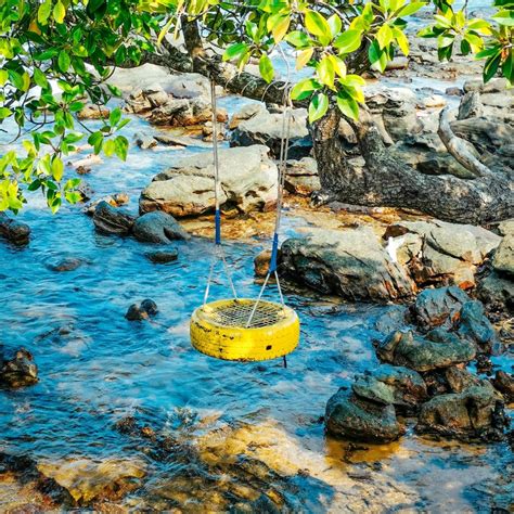 កំពង់ផែកោះស្តេចរីសត របស់ឧកញ៉ា សួរ វីរៈ ចាប់បើកឱ្យភ្ញៀវចូលទស្សនាទេសភាពជុំវិញកោះទាំងមូល