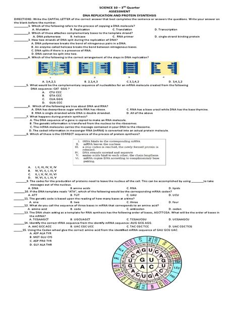 Dna Replication And Protein Synthesis Quiz Pdf Dna Rna