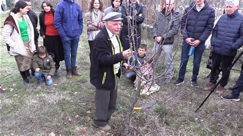 Подрязване на овощни дръвчета Иван Кацарски Градинарска конференция