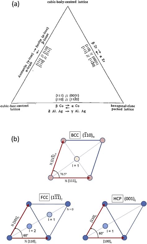 Phase Transformations In The Fccehcpebcc System A As Represented By Download Scientific