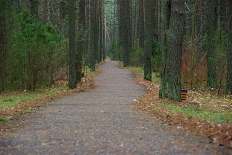 Žilvino Takas Druskininkų Dviračių Trasa We Love Lithuania