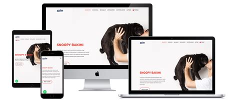 Veteriner V Php Script Tema Msiyazilim Mercuryweb Script Sat Temas