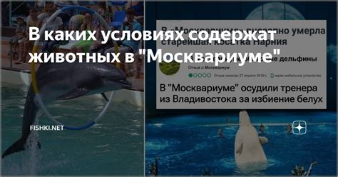 В каких условиях содержат животных в "Москвариуме" | Fishki.Net | Дзен