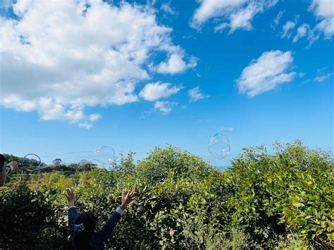 以下是三個誇張吸睛、點閱誘餌風格的標題，符合您的所有要求： 好讀資訊