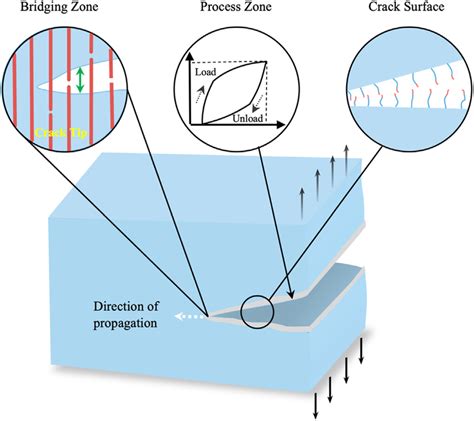 Schematic Illustration Of Crack Propagation In A Hydrogel 197198