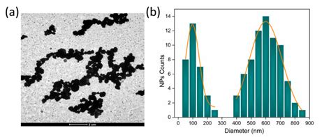 A Tem Image And B Nip Size Distribution With The Log Normal And