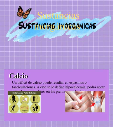 Sustancias Inorgánicas Pdf