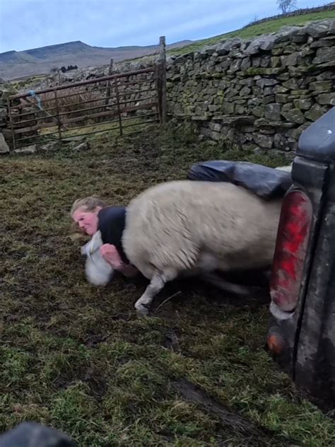 Samshutt Sam Shutt Tiktok