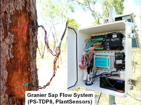 Complete Granier Sap Flow System Plantsensors
