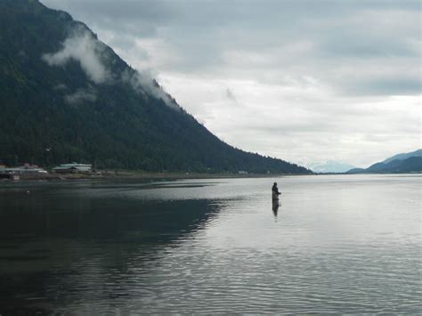 370 Best King Salmon Images On Pholder Fishing Flyfishing And Pics
