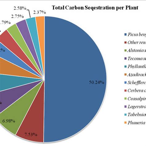 Total Carbon Sequestration Per Plant Download Scientific Diagram