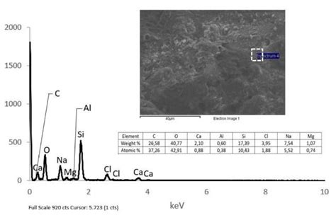 Elemental Analysis By Sem Eds At Different Morphological Positions