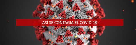Así Se Contagia El Coronavirus